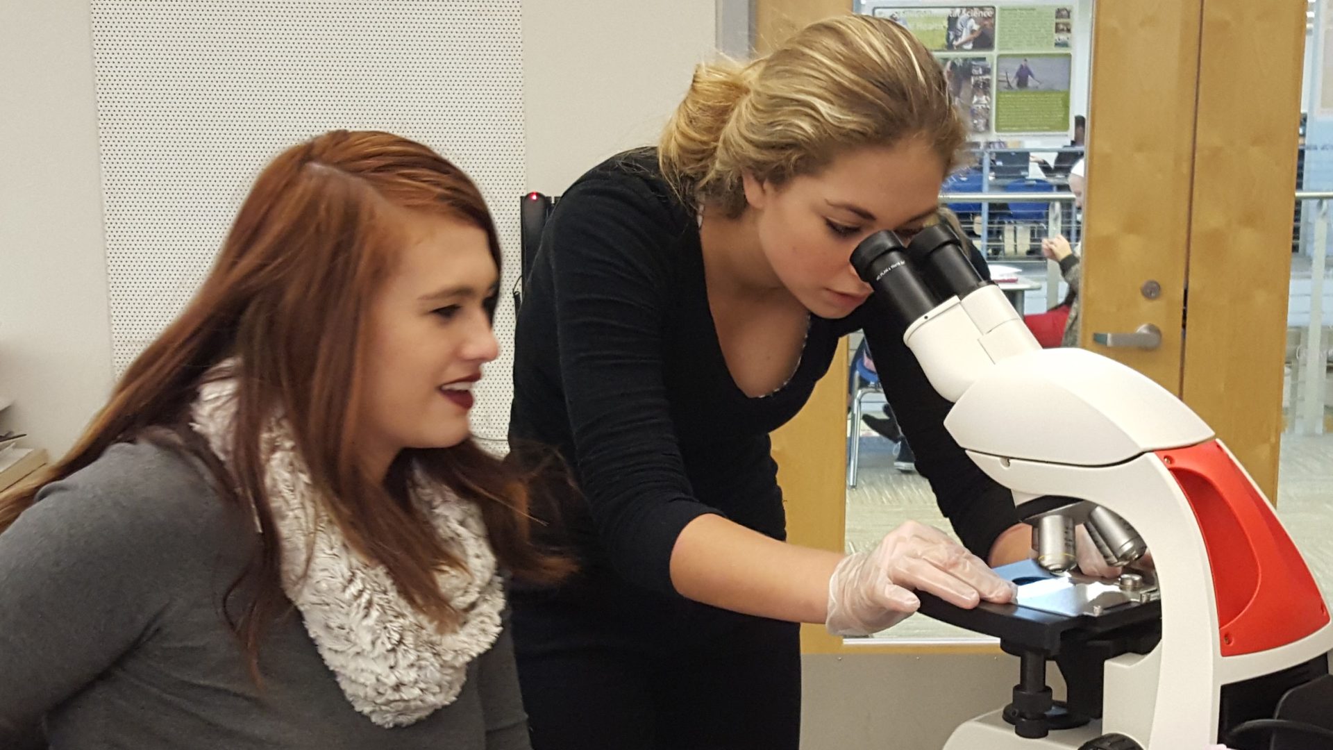 In My Classroom: POOP LAB! (AKA Fecal Floats/intestinal parasite lab)